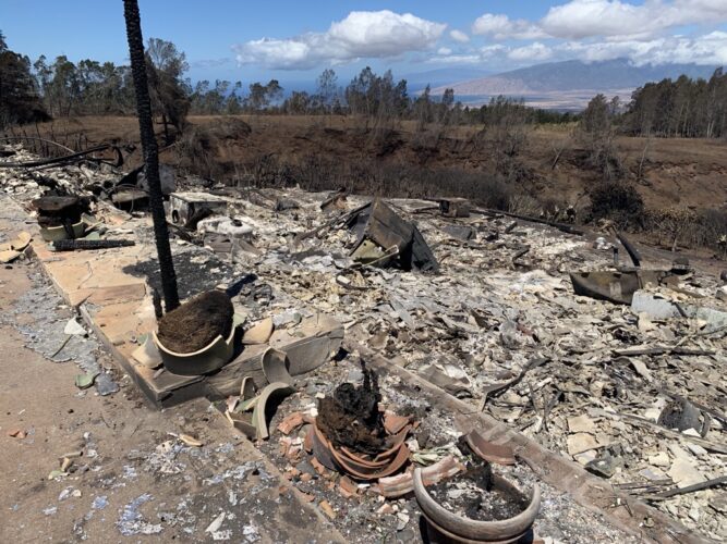 Groups in Kula continue work to reduce wildfire risk | News, Sports ...